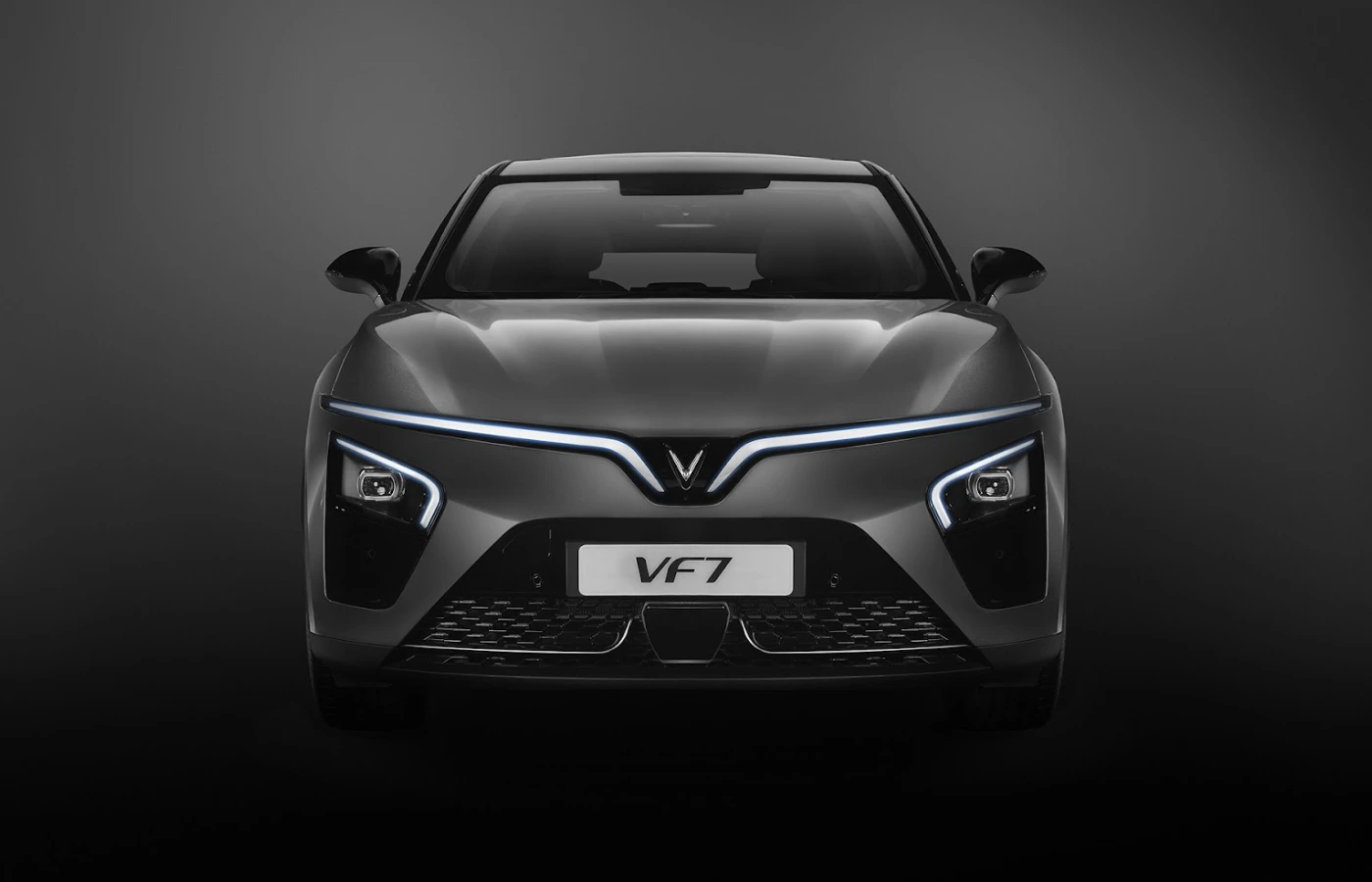 VinFast Partners with Global Assure for Roadside Support